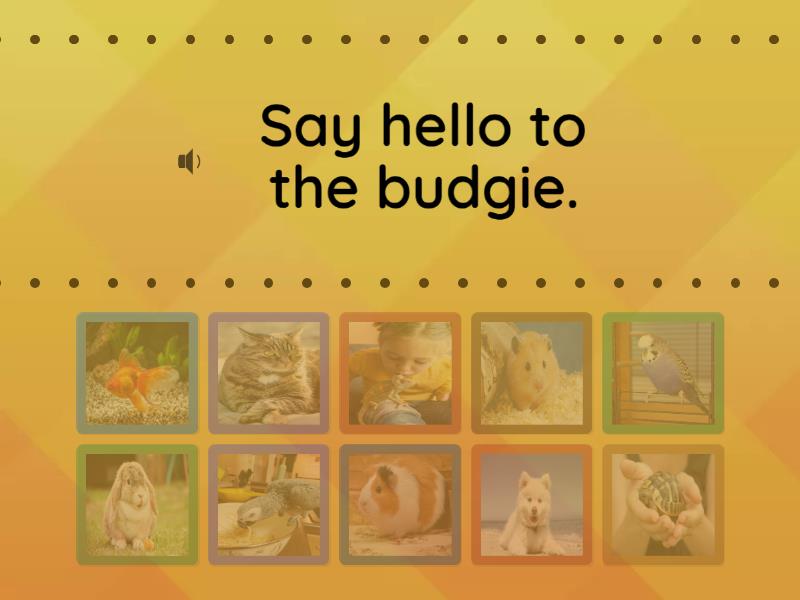 Hello, Pets! - Find the match