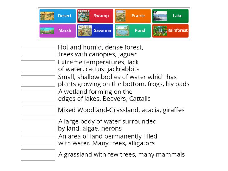 Types of Ecosystems - Match up