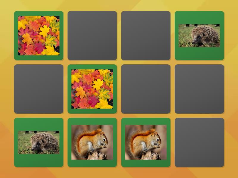 Autumn Matching - Matching pairs