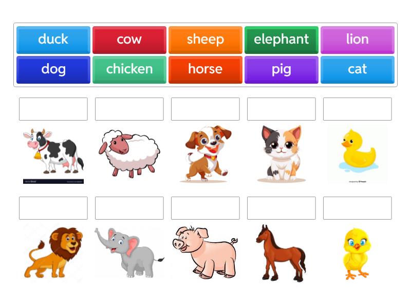 los animales - Match up