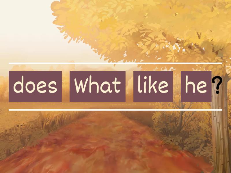 What does he like? - Unjumble
