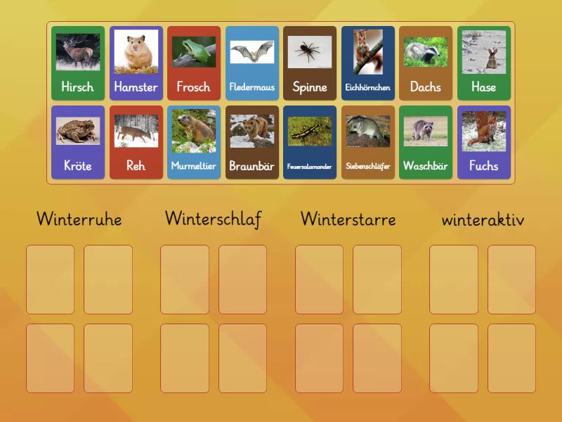 Tiere im Winter / Winterschlaf / Winterruhe / Winterstarre / Aktiv ...