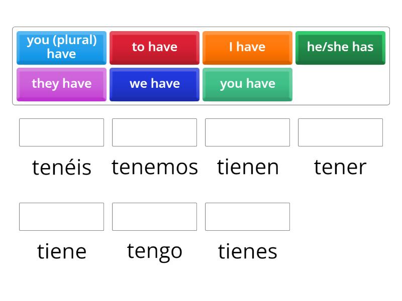 Tener - To have - Match up