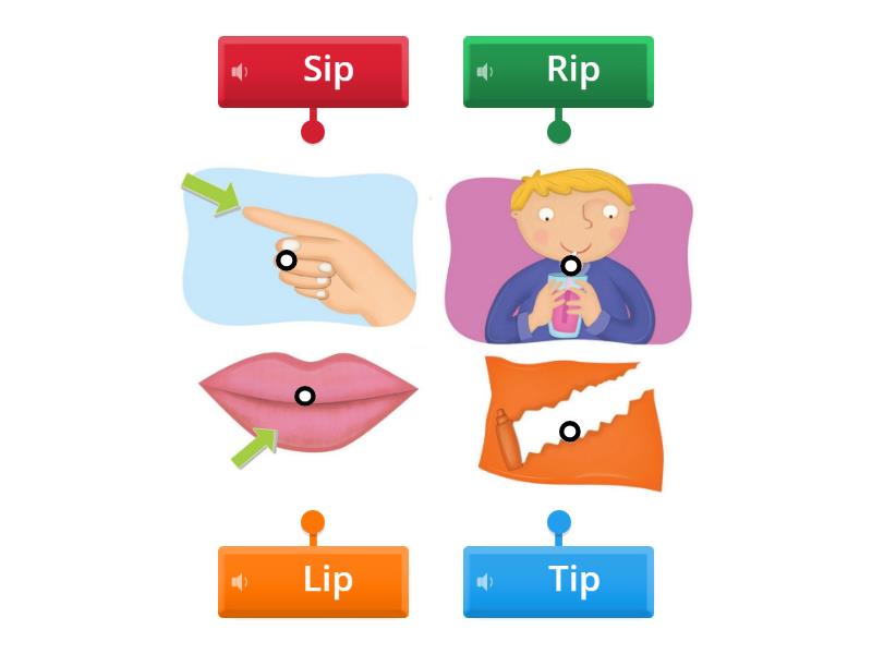 Oxford Phonics i-ip-ib-id - Labelled diagram