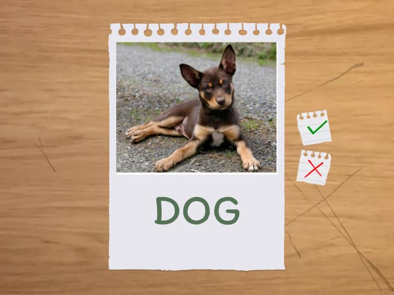 ADJECTIVES - Flash cards