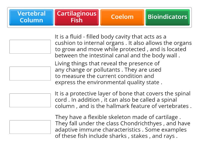 Vertebrates - Match up