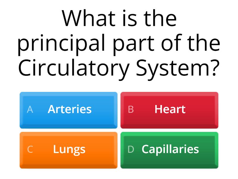 Circulatory System - Quiz