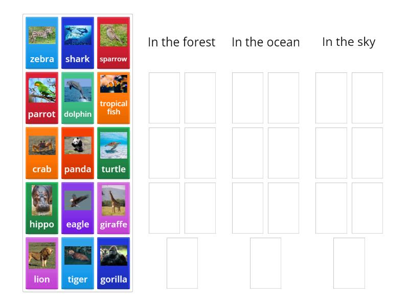 Where do the animals live? - Group sort