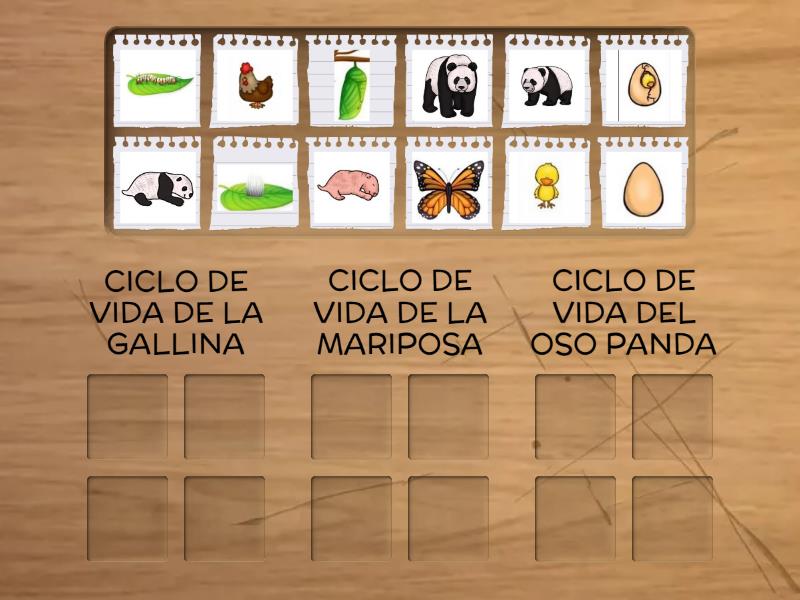 Actividad 2 - Group sort