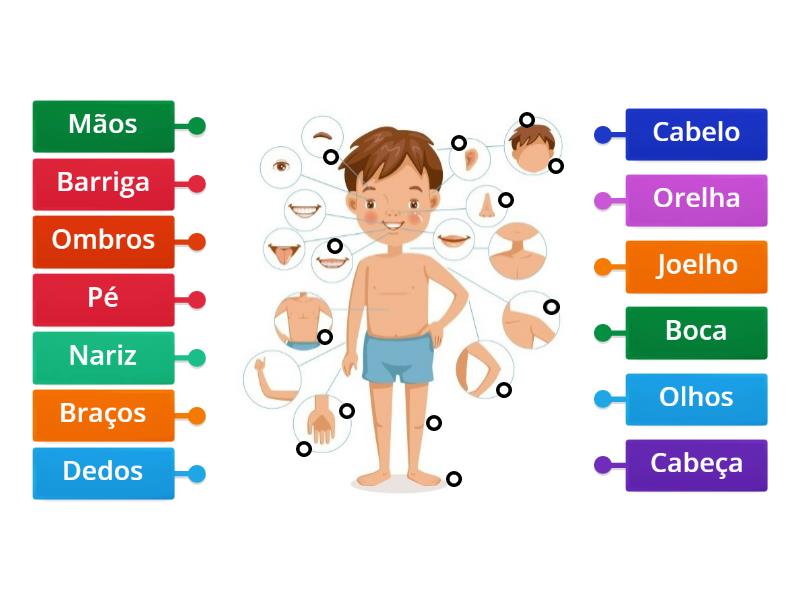 As partes do corpo_ 2023 - Labelled diagram