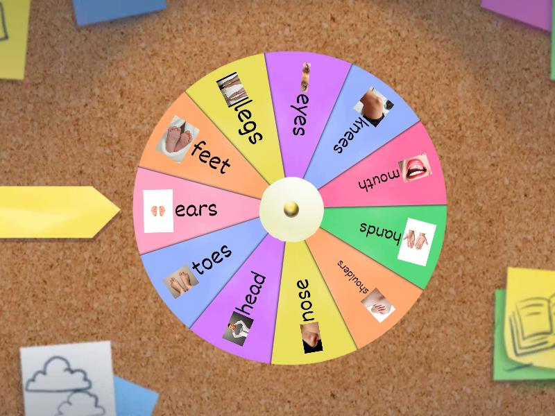 Identify body parts - Roleta aleatória