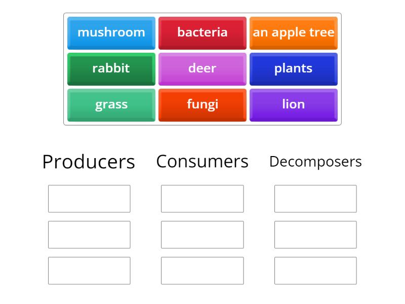 Producers , Consumers and Decomposers - Group sort