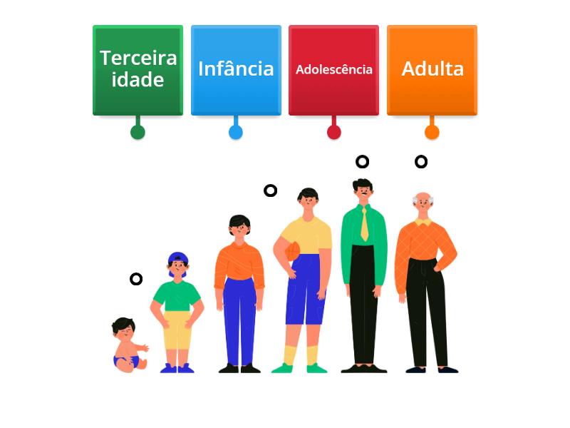 Fases da vida - Labelled diagram