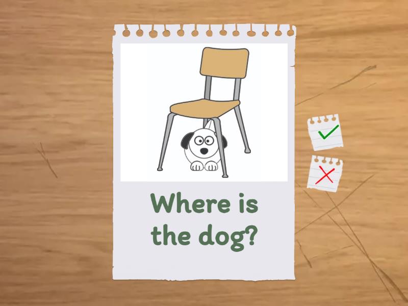 Pets & Prepositions (in/on/under) - Flash cards