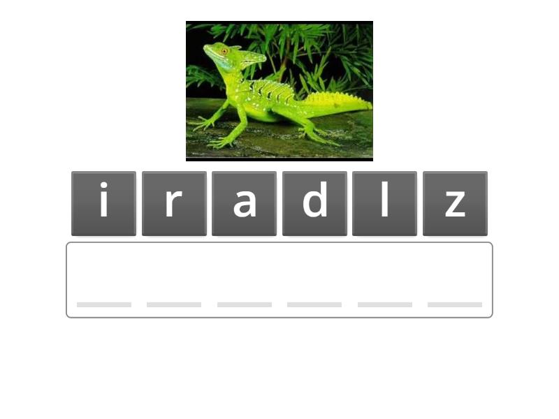 animals + - Anagrama