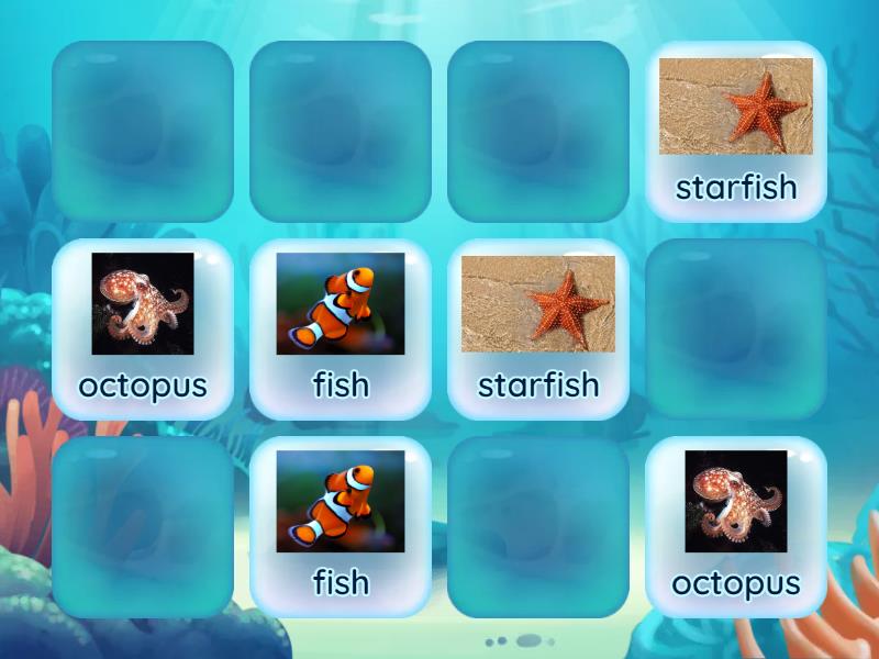Sea Animals - Matching pairs