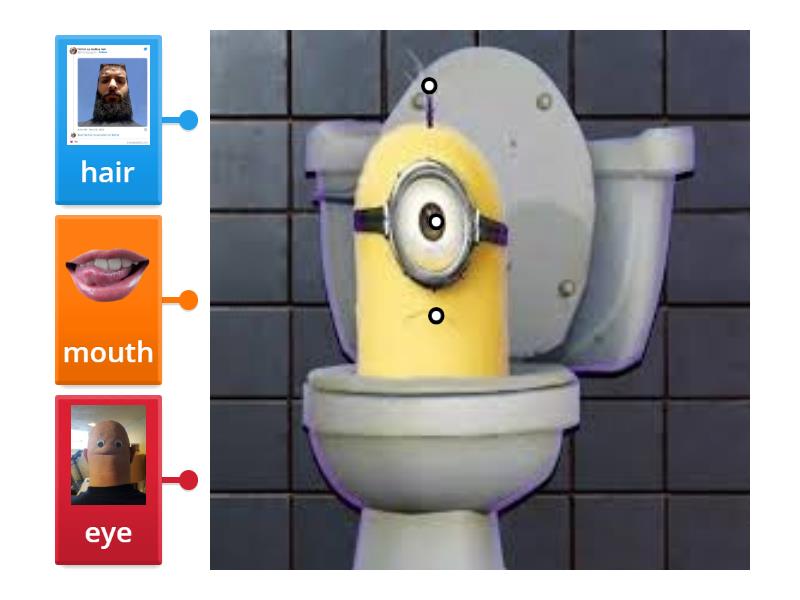 Skibidi minion - Labelled diagram