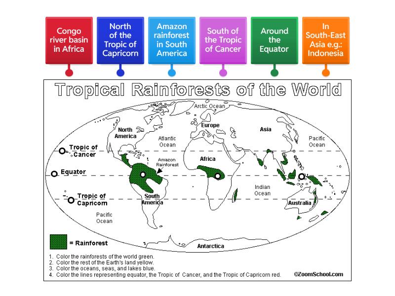 ARK Y6 Where is the tropical rainforest biome? - Labelled diagram