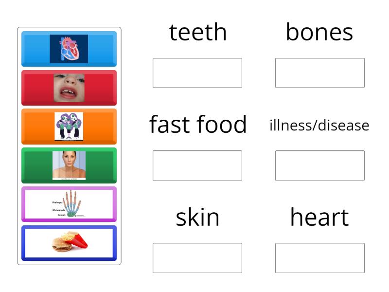 body vocab - Group sort