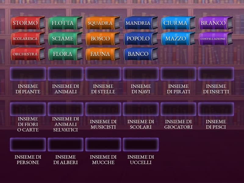 I NOMI COLLETTIVI - Match up