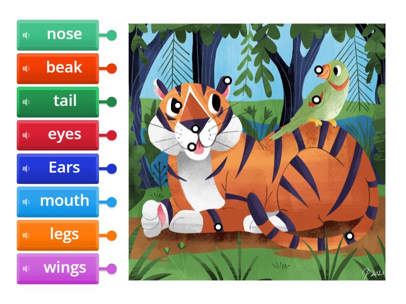 Animals - Labelled diagram