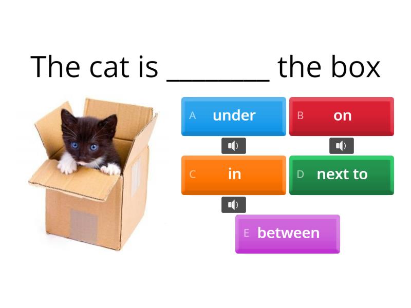 Prepositions 2 - in, on, under, next to, by, between - Questionário