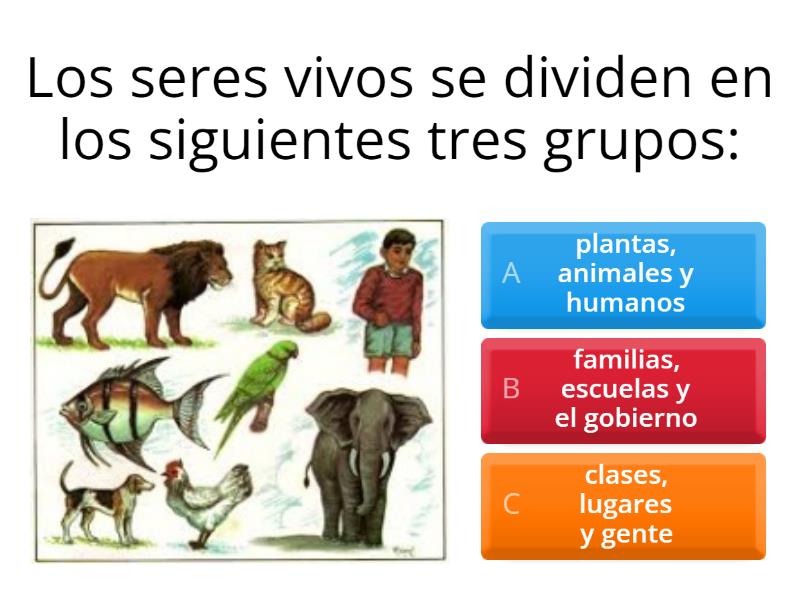 Repaso para prueba - Estructura de los animales - Kuis