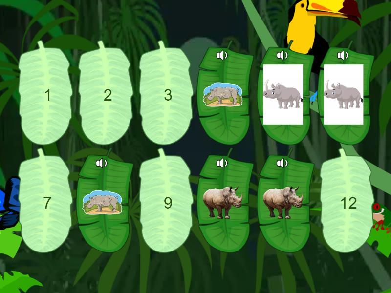 rhino - Matching pairs