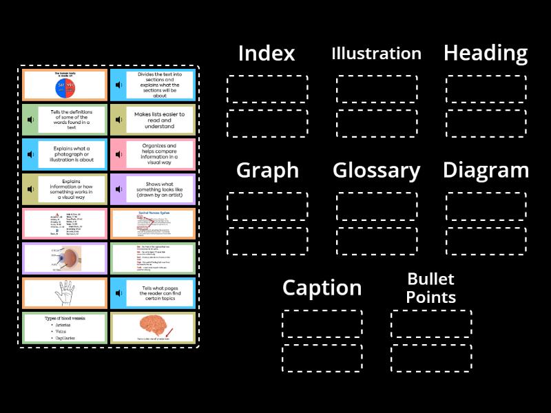 Informational Text Features (part 3) - Group sort