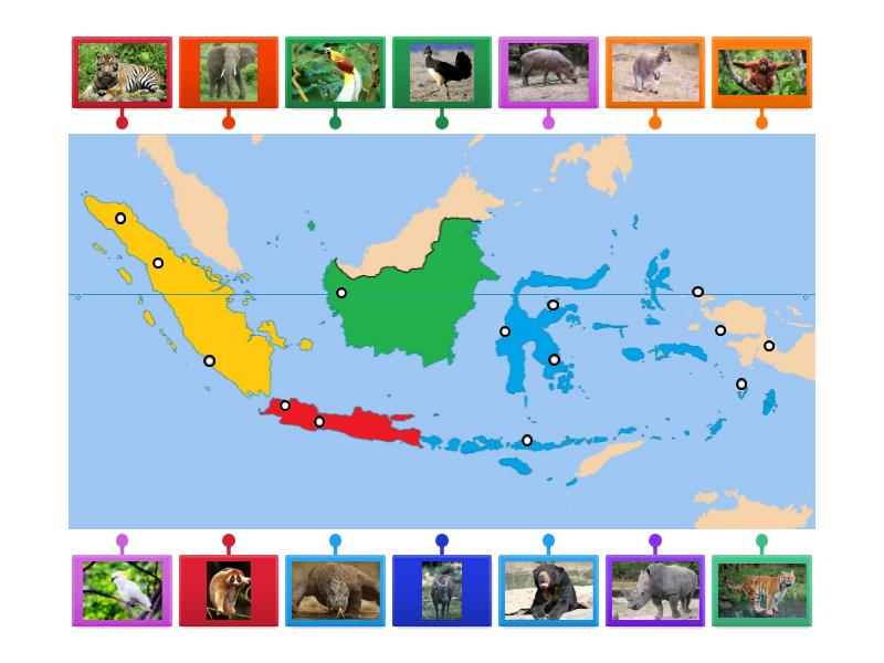 PETA PERSEBARAN FLORA DAN FAUNA DI INDONESIA - Labelled diagram