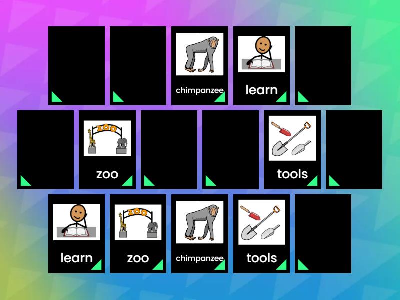 Chimpanzee Complex Matching - Matching pairs