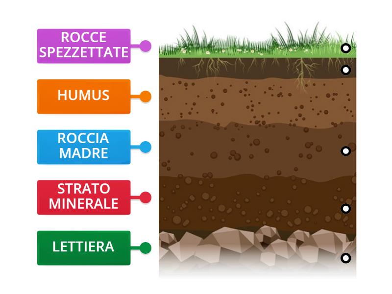 GLI STRATI DEL TERRENO - Diagrama con etiquetas