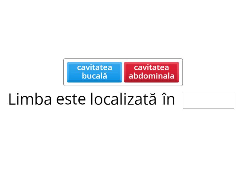 Limba - organ al gustului - Complete the sentence