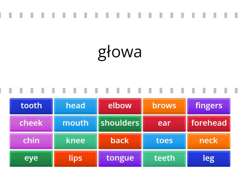 Parts of the body - Find the match