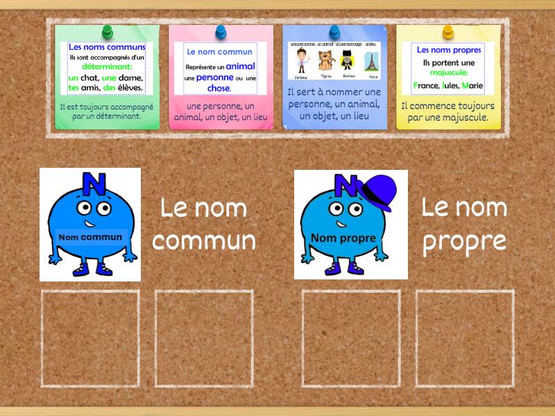 Il y a deux sortes de noms : le nom commun et le nom propre - Group sort
