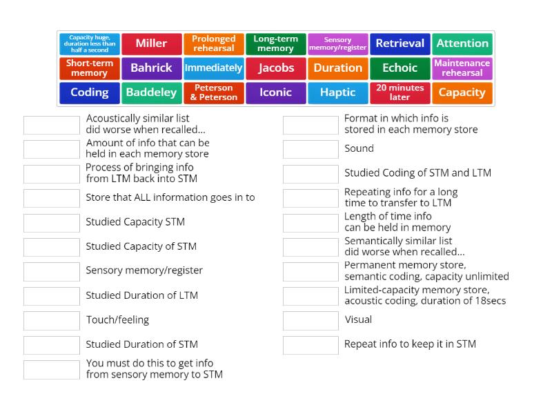 Psychology: MEMORY - Features and MSM Quiz - Match up