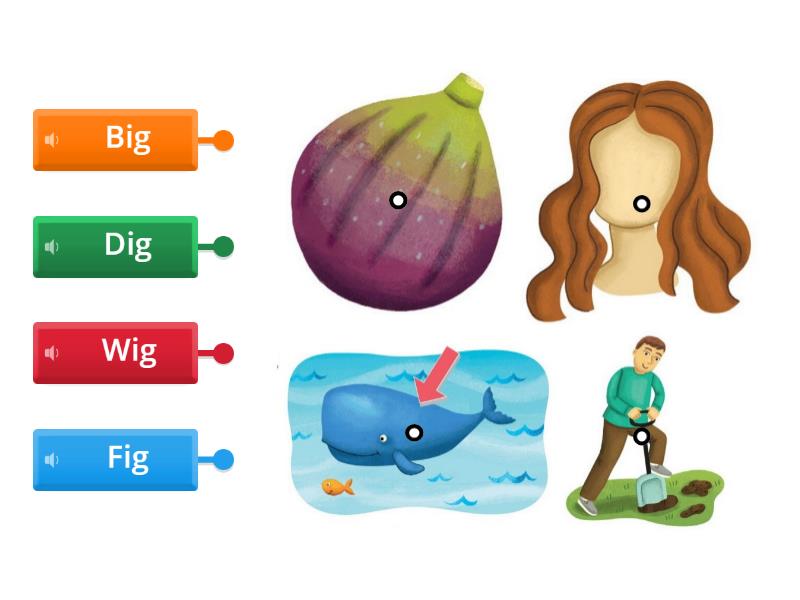 Oxford Phonics in-ig-it-ix - Labelled diagram