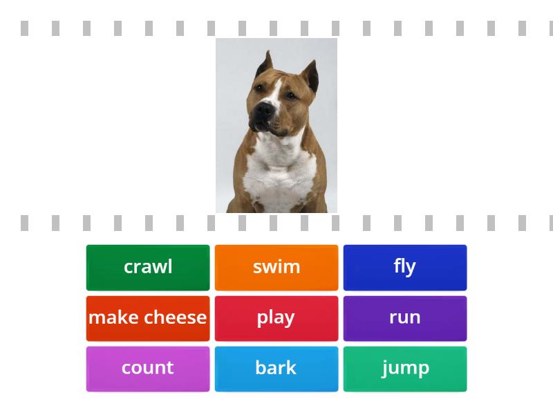 Aline-Caterpillar can - Find the match