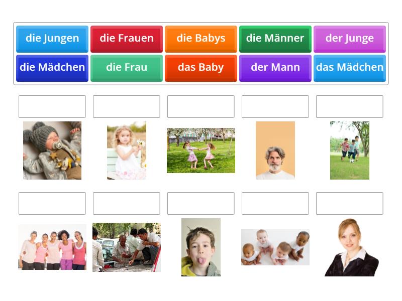 Genus und Plural - Match up