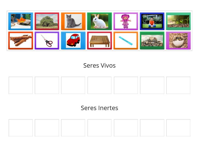 Seres vivos e inertes - Group sort