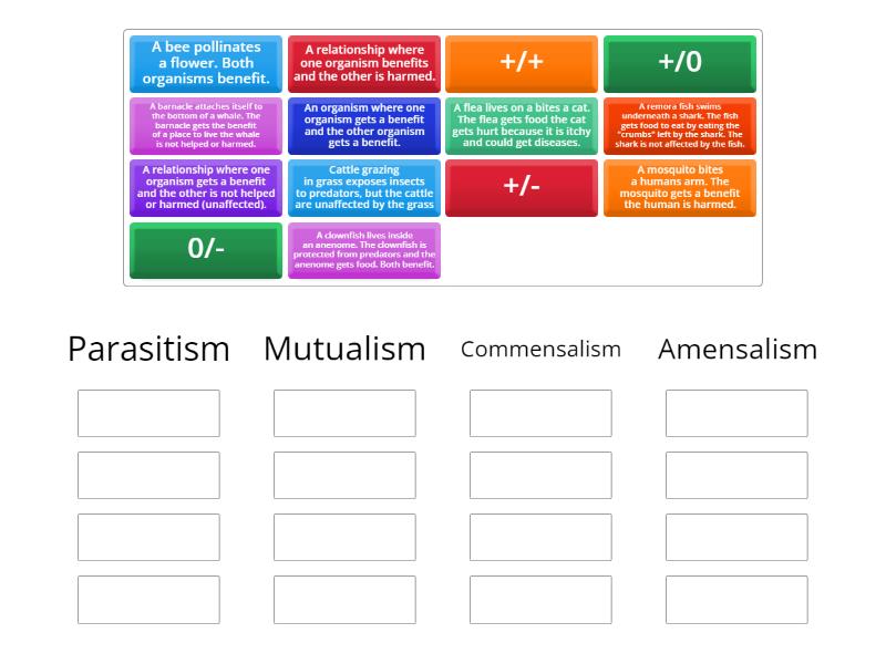 Symbiotic Relationships Matching - Group sort