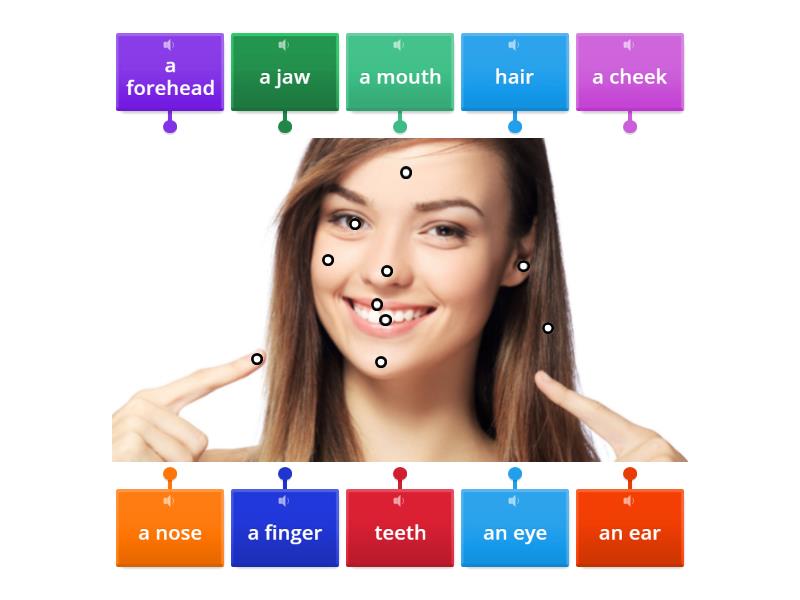 Parts of the body: face. What are these in English? - Labelled diagram