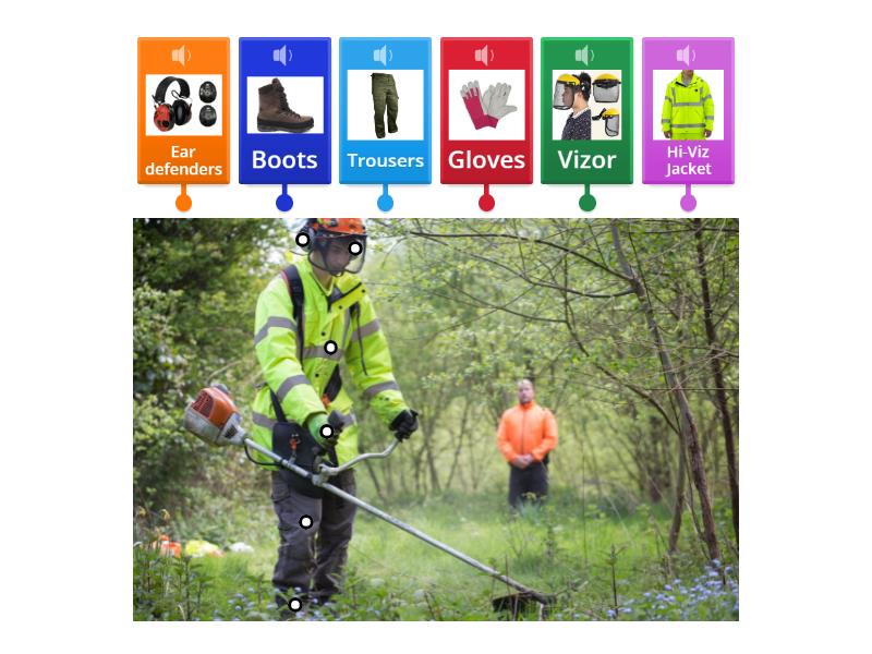 Gardening PPE, Strimmer. Horticulture (SEND) - Labelled diagram