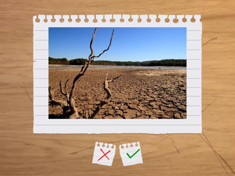 Lesson 1 Environment - Flash cards