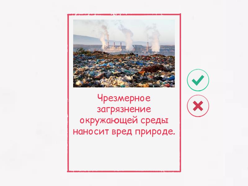 Translate the sentences into English. - Flash cards