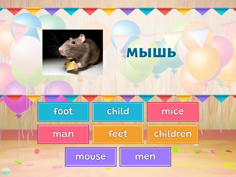 Irregular plurals-2 spotlight - Find the match