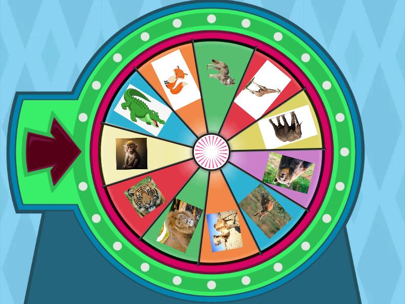 wild animals - Spin the wheel