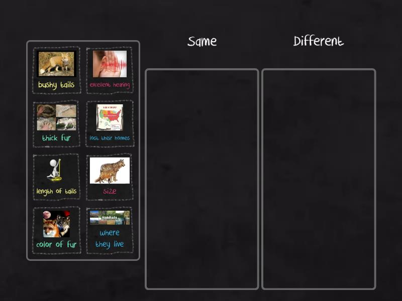 Compare and Contrast - Gray Wolf, Red Fox - Categorías