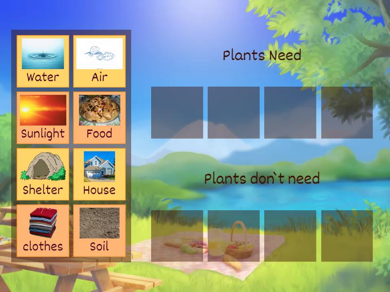 Sort the pictures into what do plants need and what plants don`t need ...