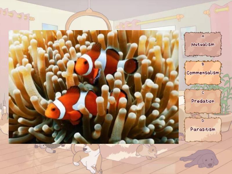 Identify the types of Symbiotic Relationship - Quiz